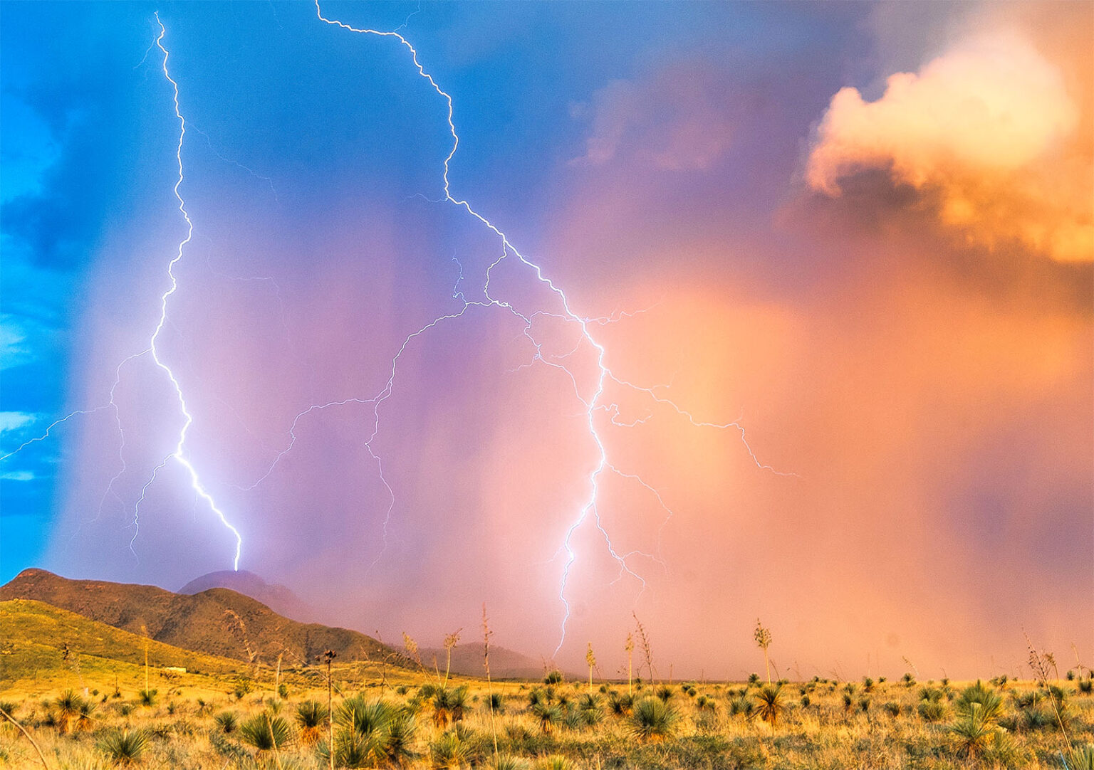 Arizona Lightning Jigsaw Puzzle
