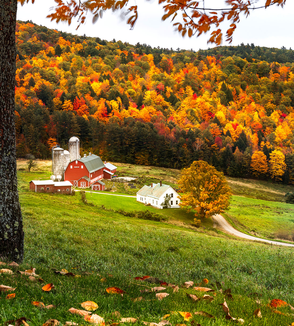 Autumn Farm Jigsaw Puzzle