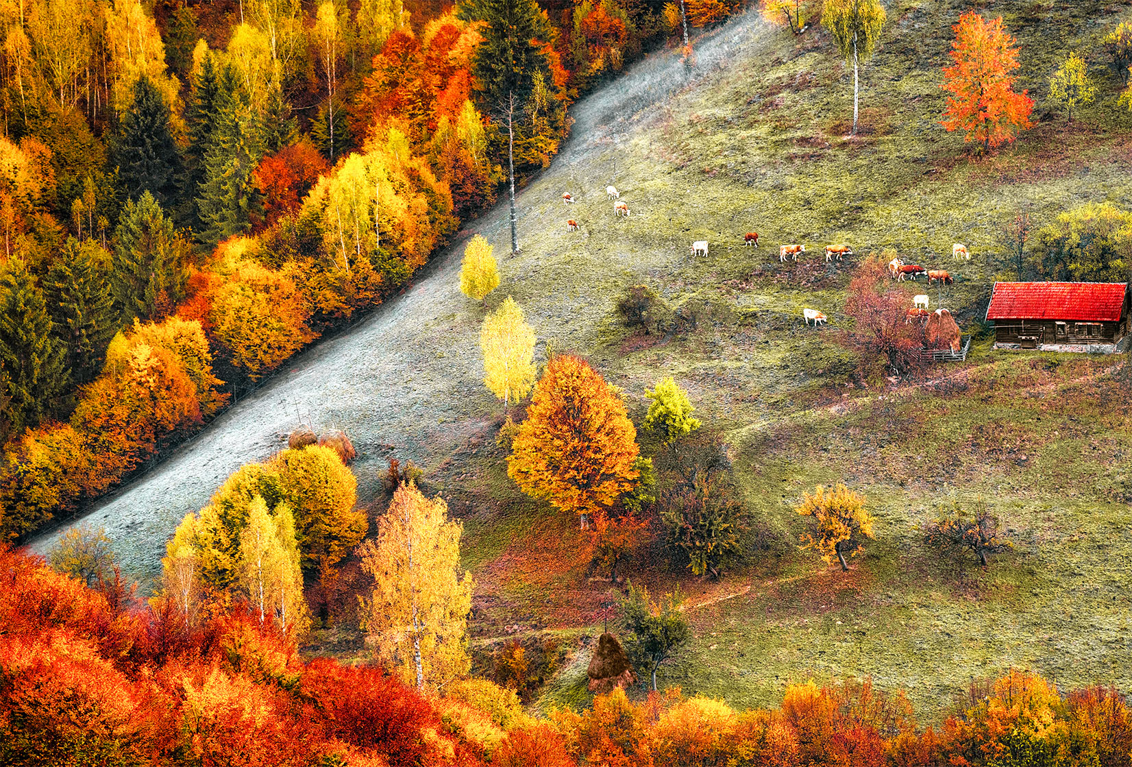 Autumn Hillside Jigsaw Puzzle