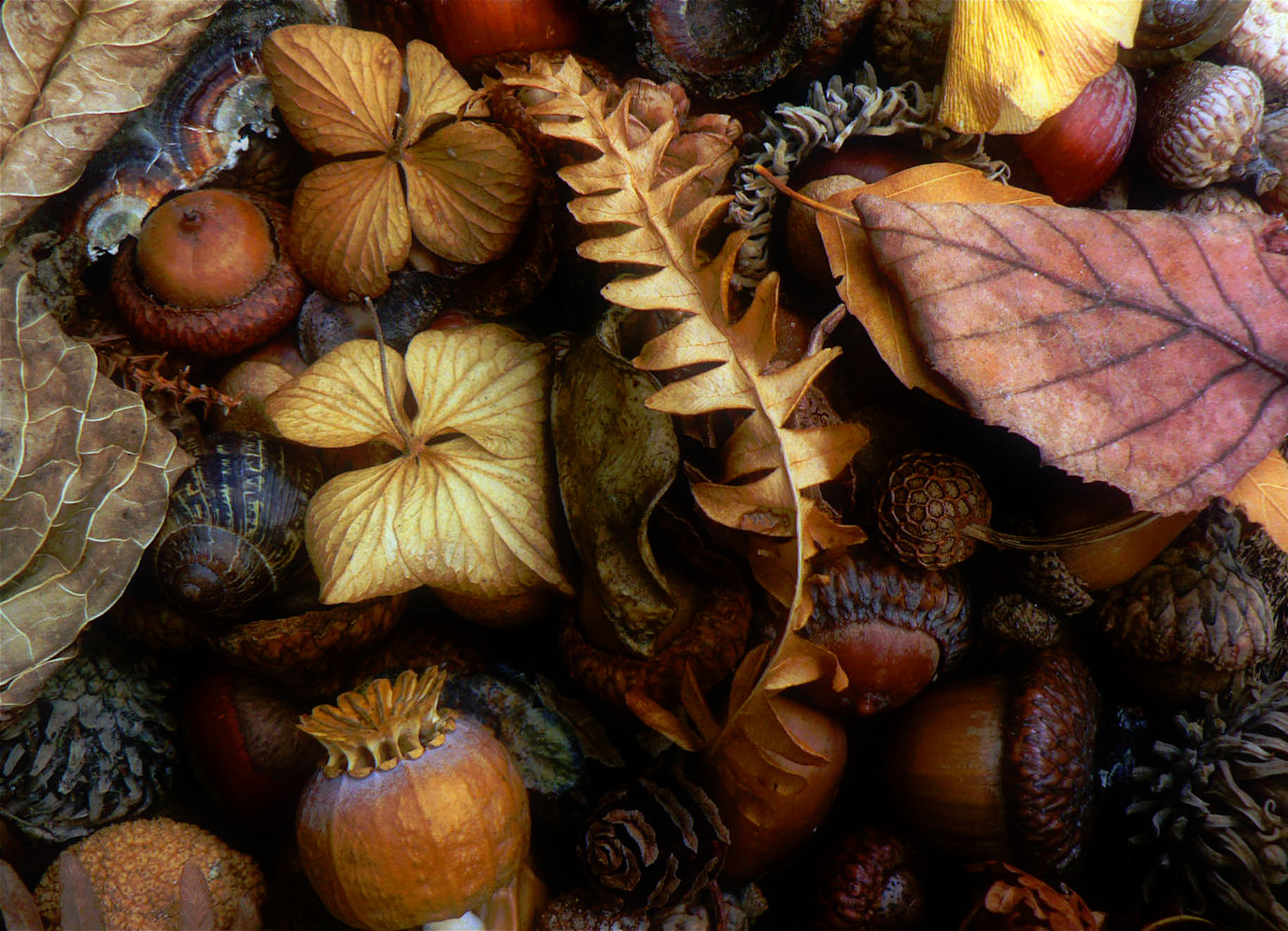 Autumn Things Jigsaw Puzzle Autumn Things Jigsaw Puzzle