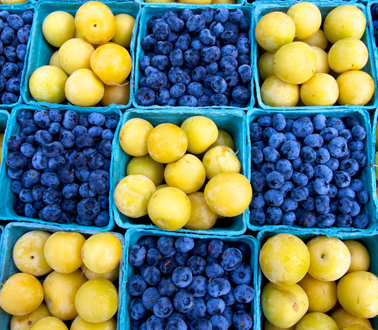 Blueberries and Plums Jigsaw Puzzle