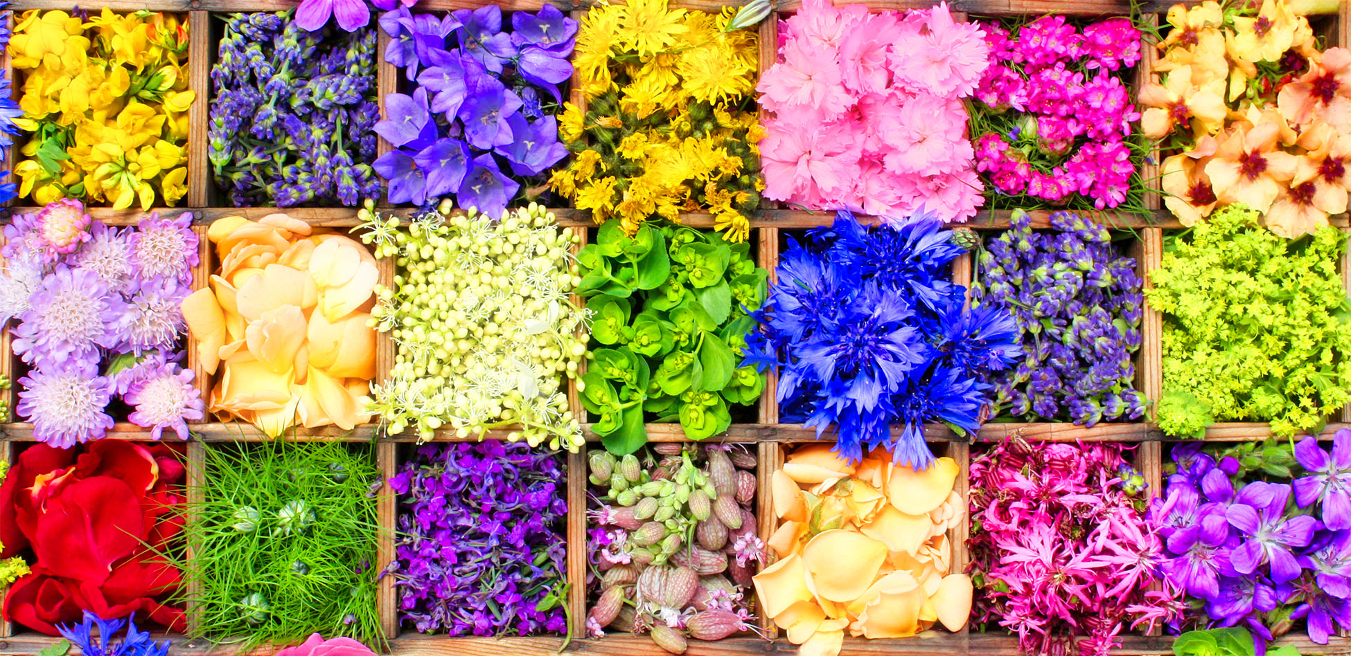 Box of Blooms Jigsaw Puzzle