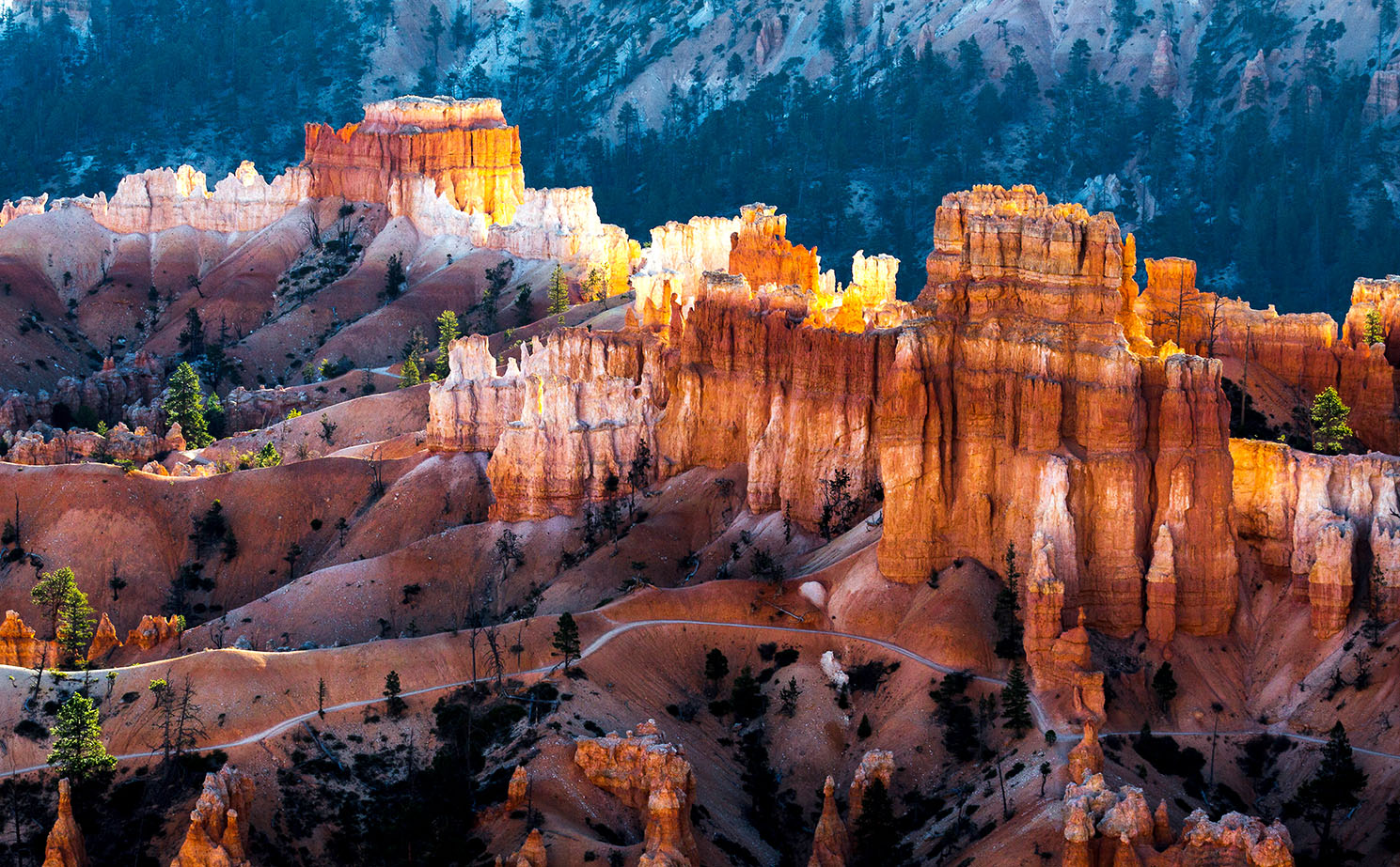Bryce Canyon Dawn Jigsaw Puzzle