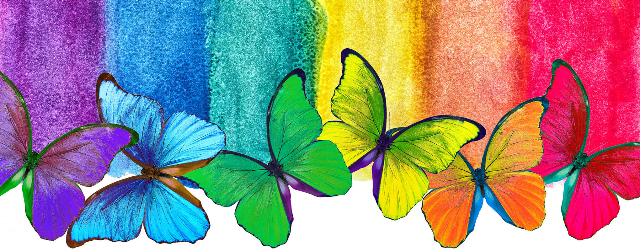 Butterfly Rainbow Jigsaw Puzzle