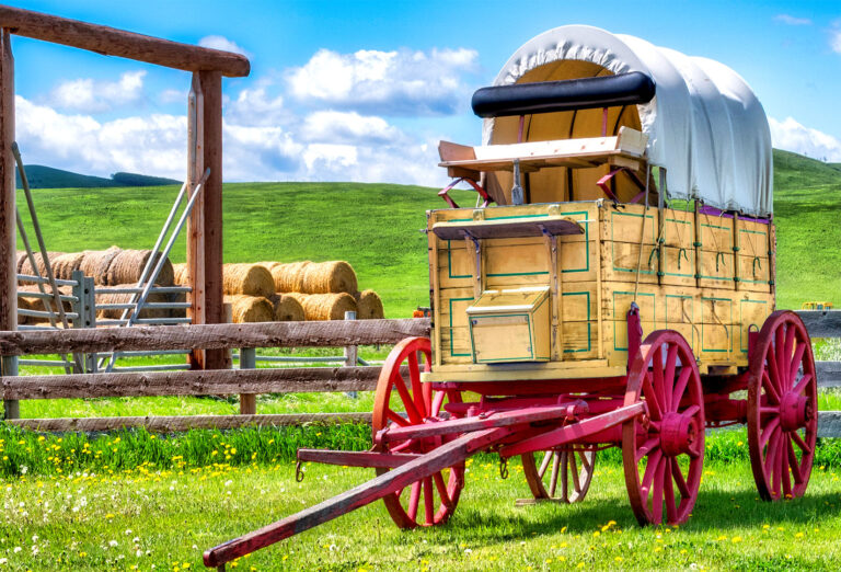 Canadian Frontier Wagon Jigsaw Puzzle