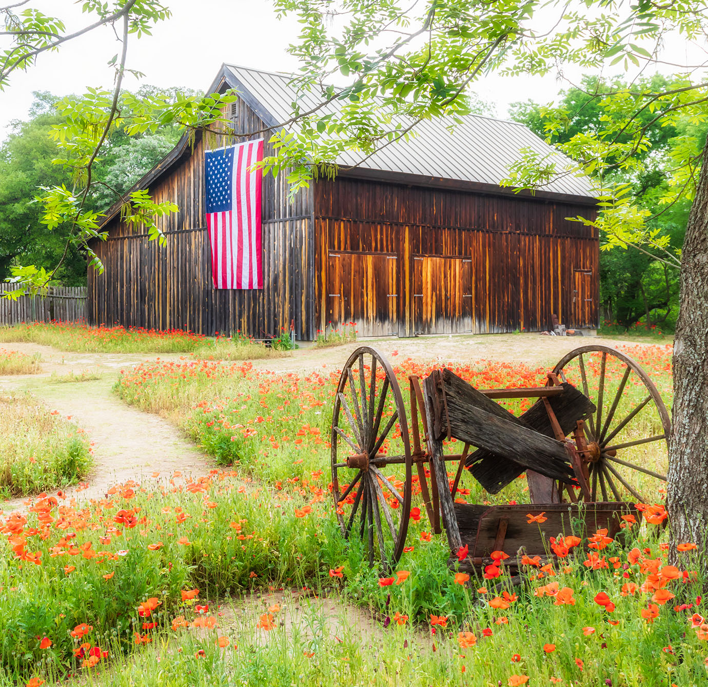 Barns