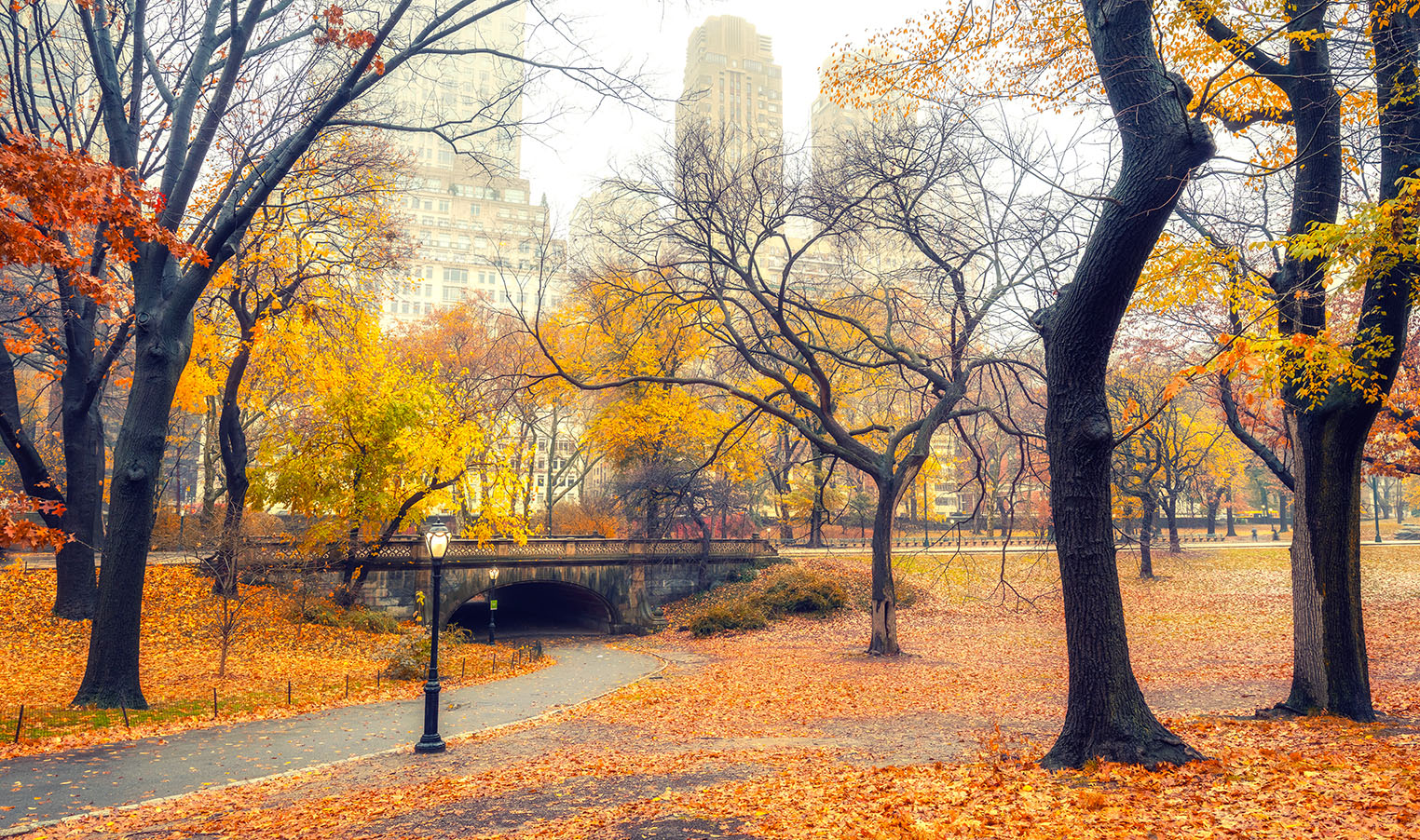 Central Park Fall Jigsaw Puzzle
