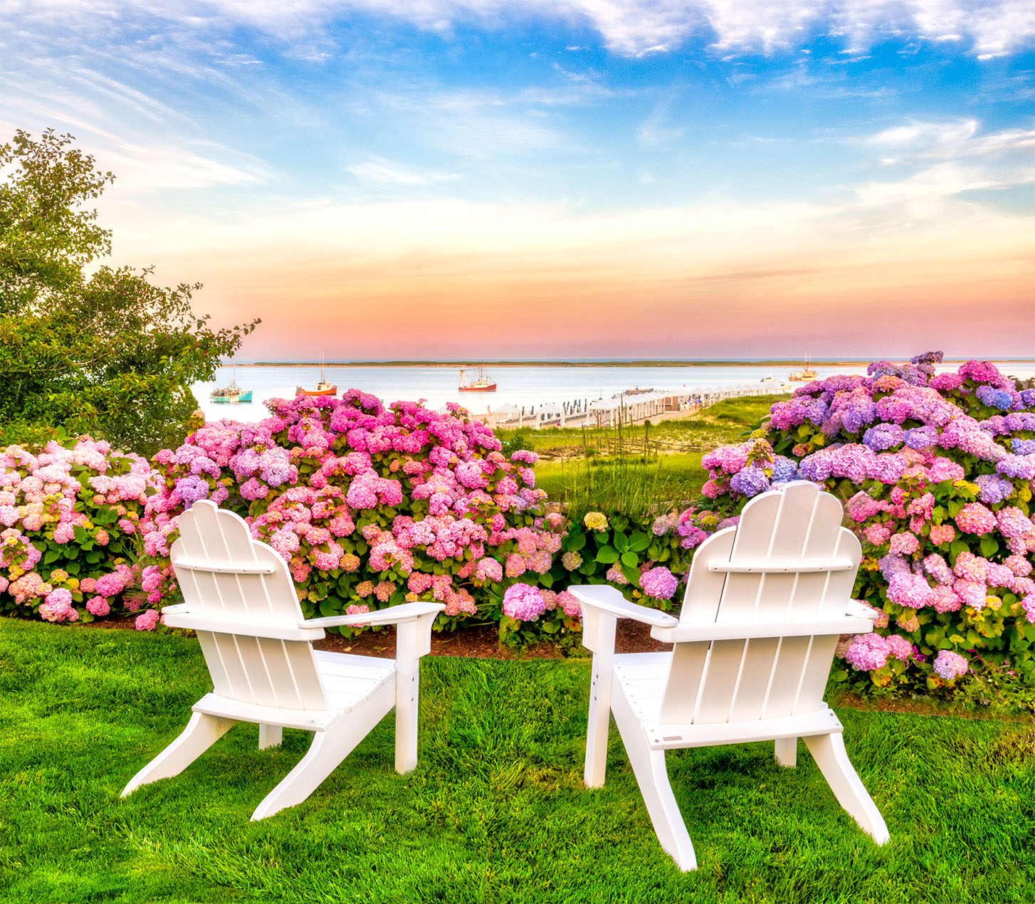 Chatham Hydrangeas Jigsaw Puzzle