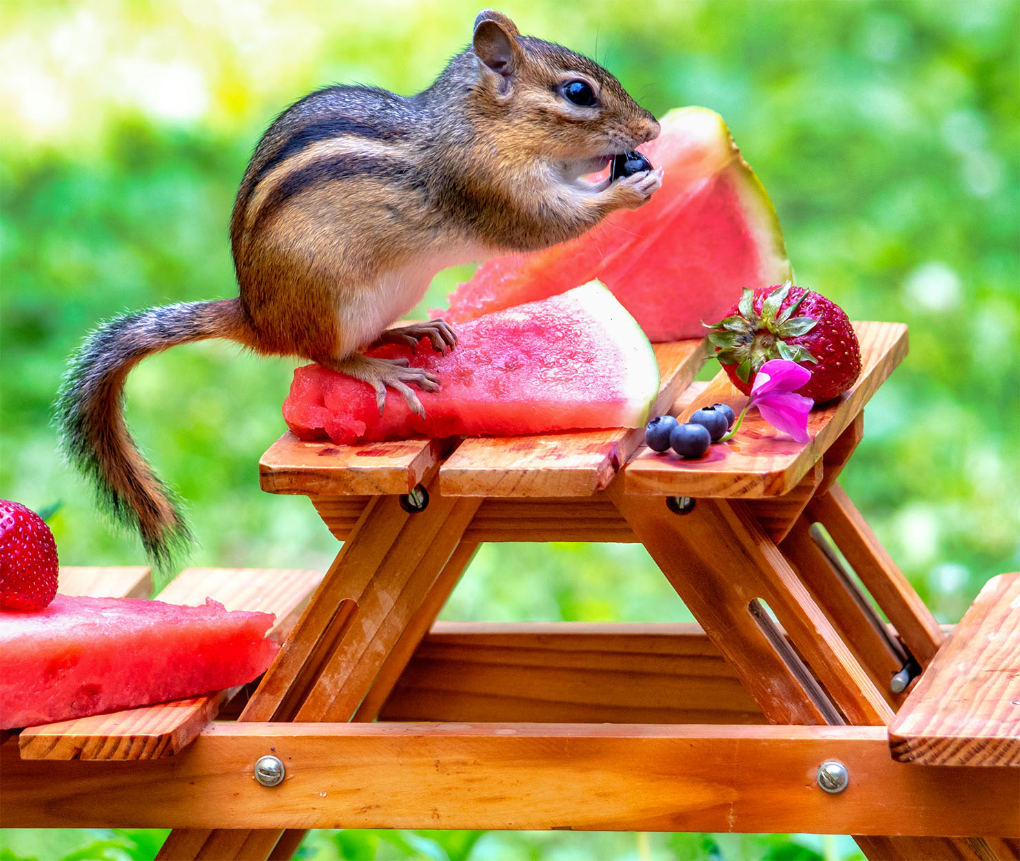 Chipmunk Picnic Jigsaw Puzzle