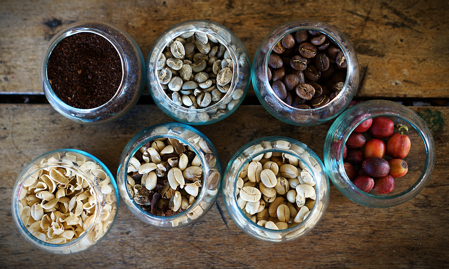 Coffee Bean Samples Jigsaw Puzzle