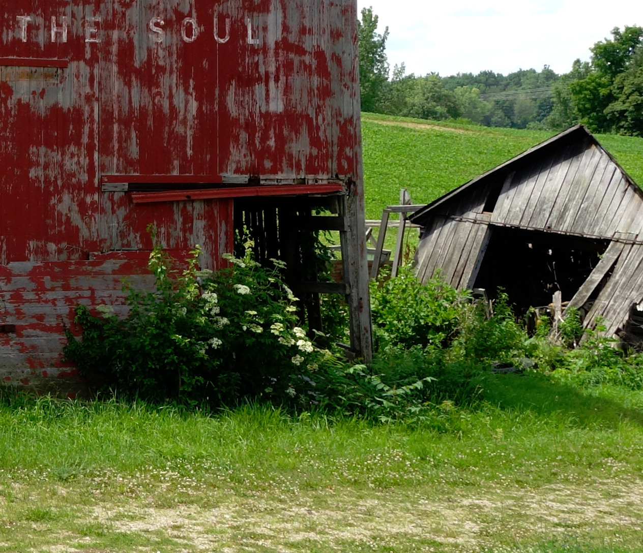 Crumbling Barn Jigsaw Puzzle