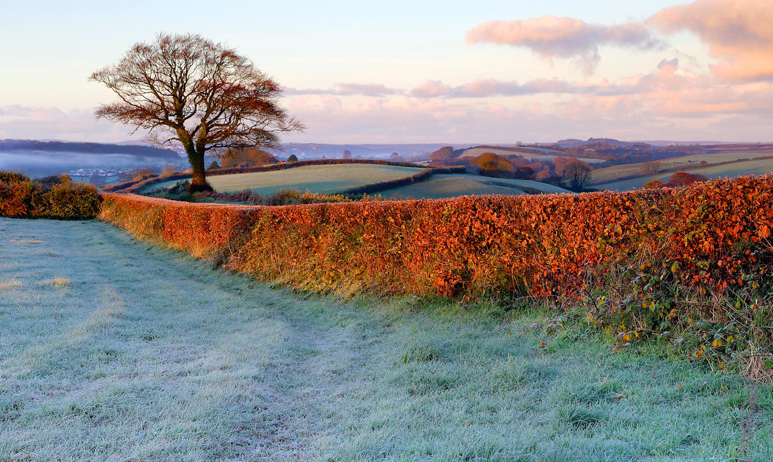 English Hedgerow Jigsaw Puzzle