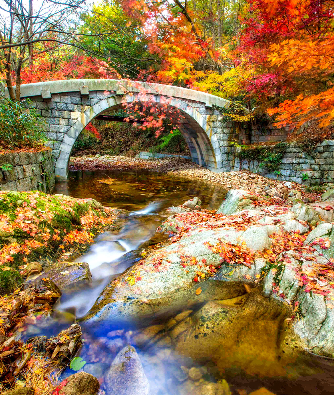 Fall Forest Bridge Jigsaw Puzzle