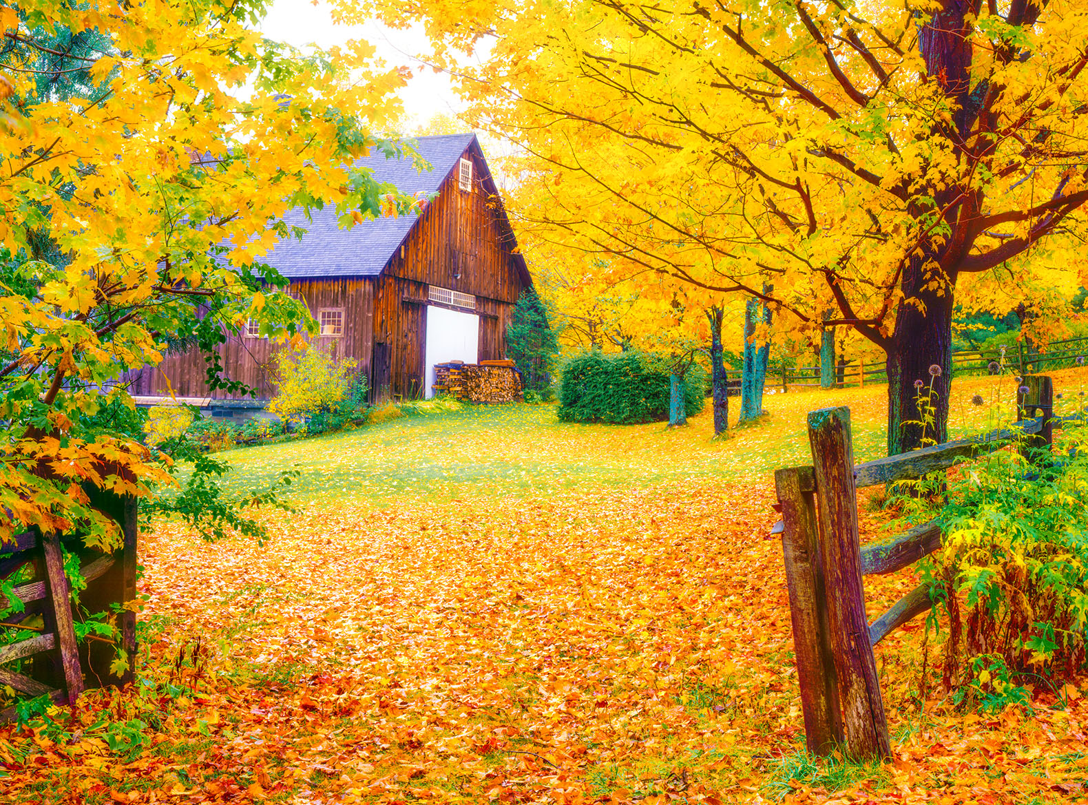 Barns