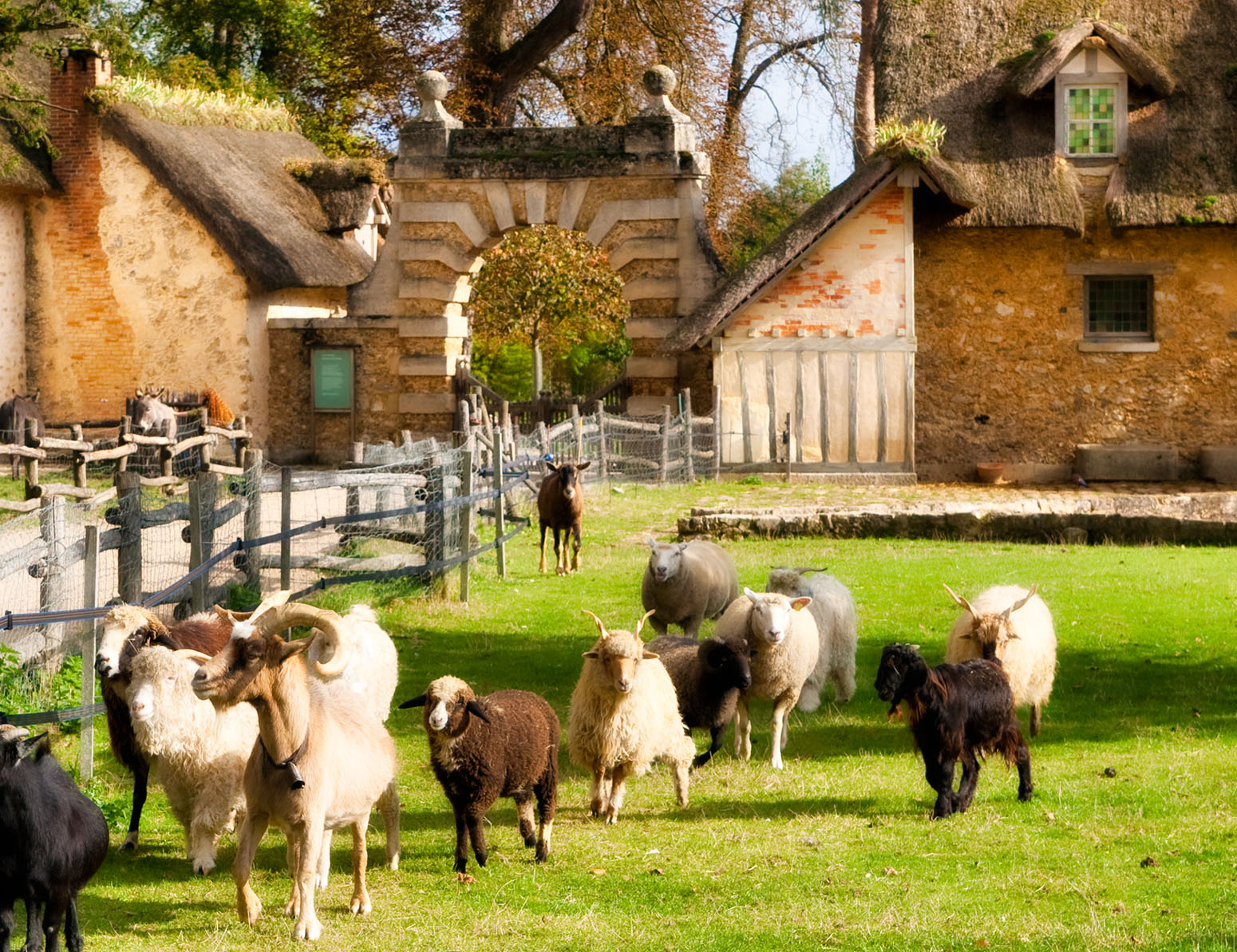 French Farm Jigsaw Puzzle