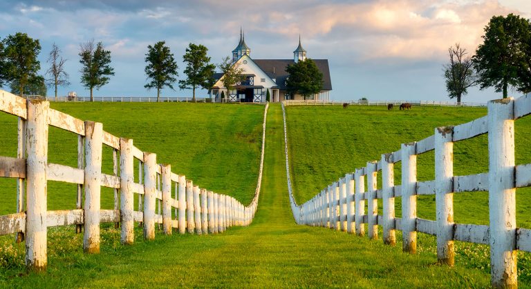 Green Road Jigsaw Puzzle