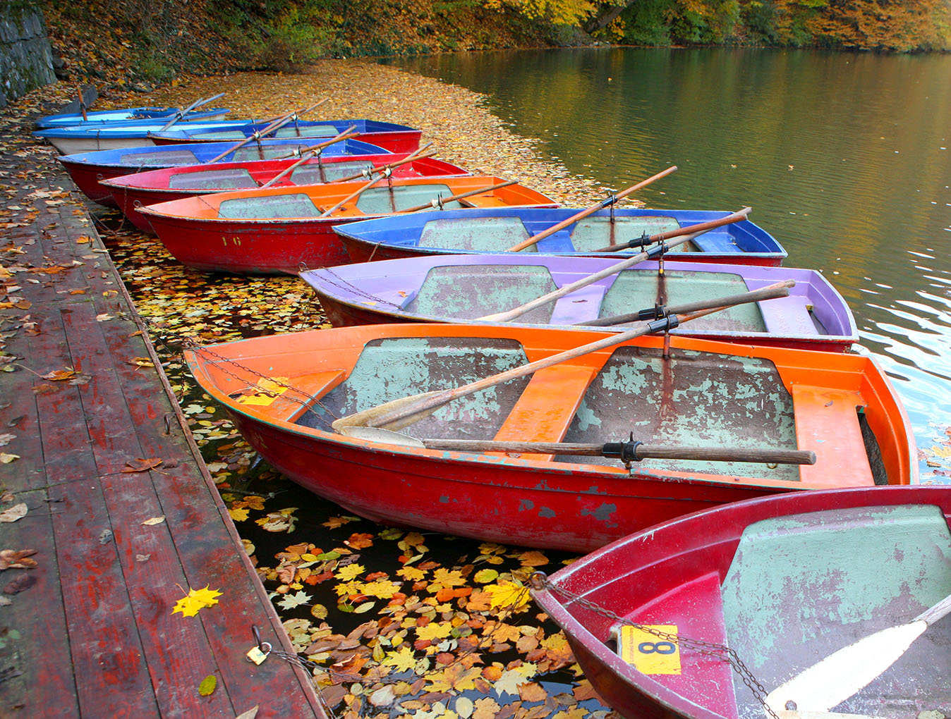 Hamori Lake Boats Jigsaw Puzzle