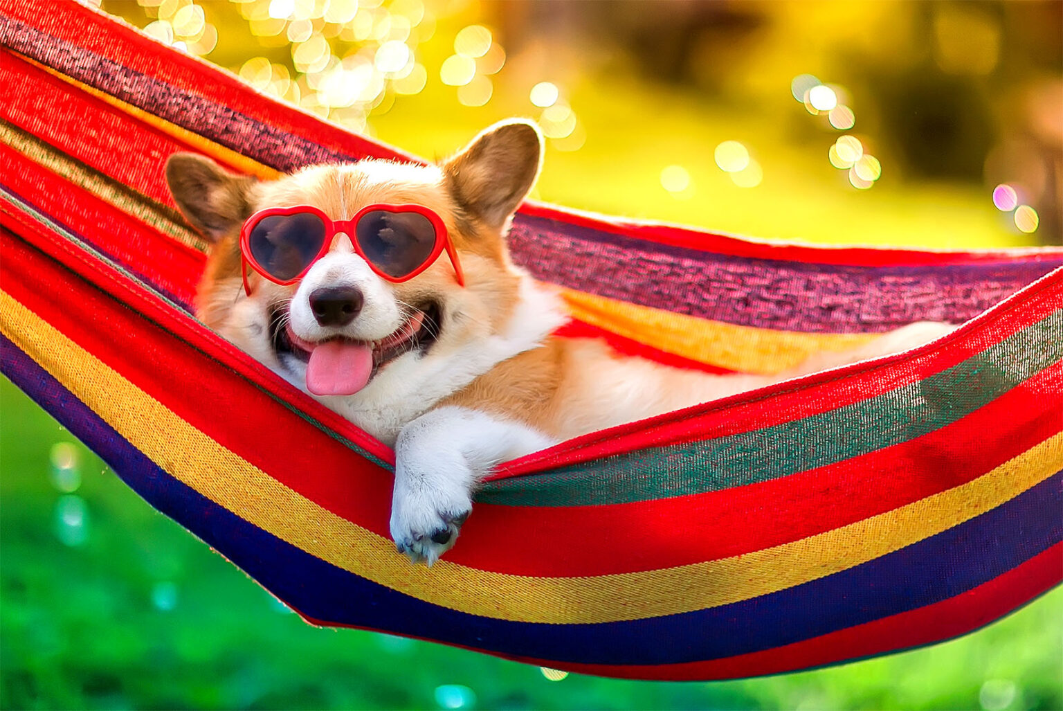 Hanging Out Jigsaw Puzzle