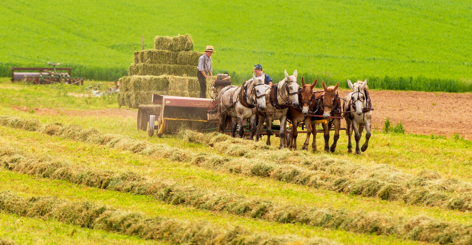 Hay Baling Jigsaw Puzzle