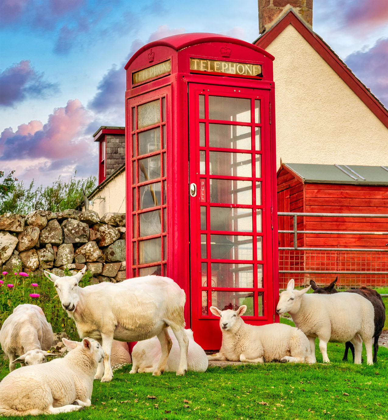 I Will Call Ewe Back Jigsaw Puzzle