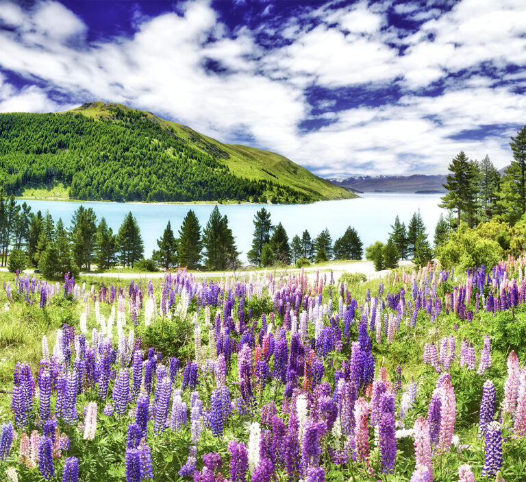 Lake Tekapo Jigsaw Puzzle