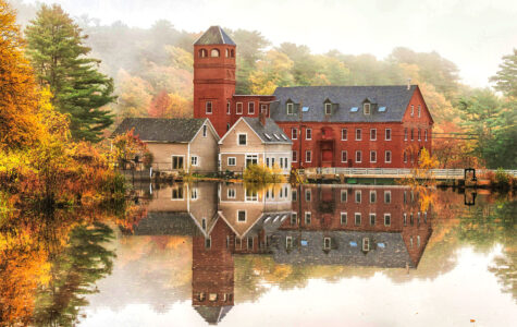 Mill Pond Reflections Jigsaw Puzzle