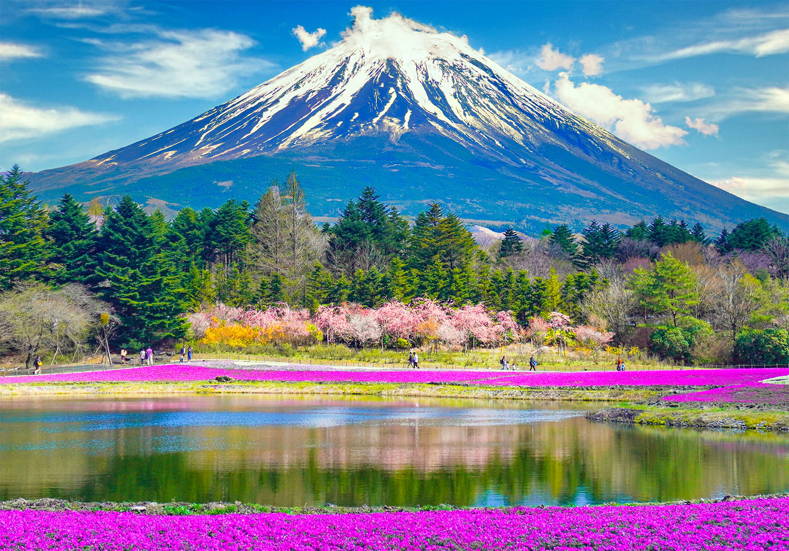 Mount Fuji View Jigsaw Puzzle