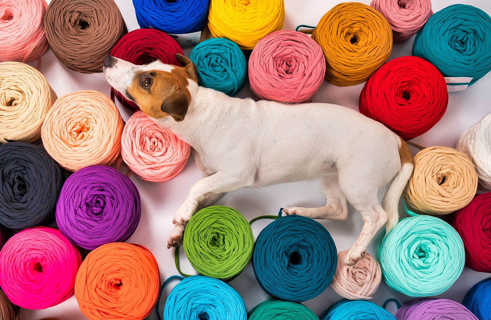 Nesting Dog Jigsaw Puzzle Nesting Dog Jigsaw Puzzle