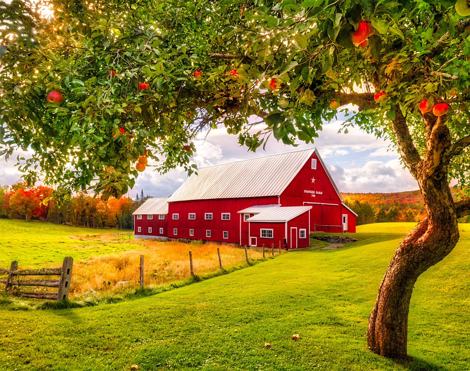 Barns