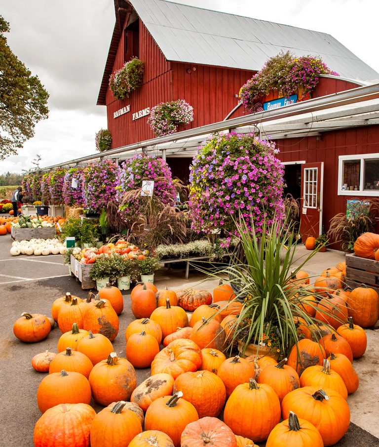 October Harvest Jigsaw Puzzle