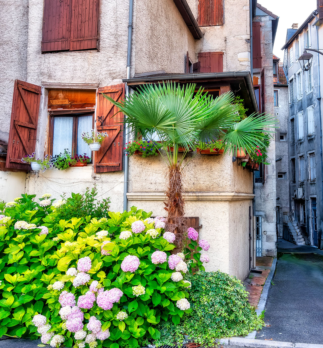 old-pau-houses-jigsaw-puzzle