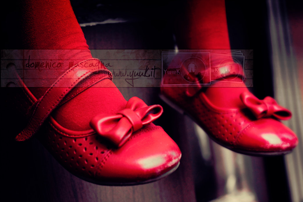 Pair of Red Shoes Jigsaw Puzzle