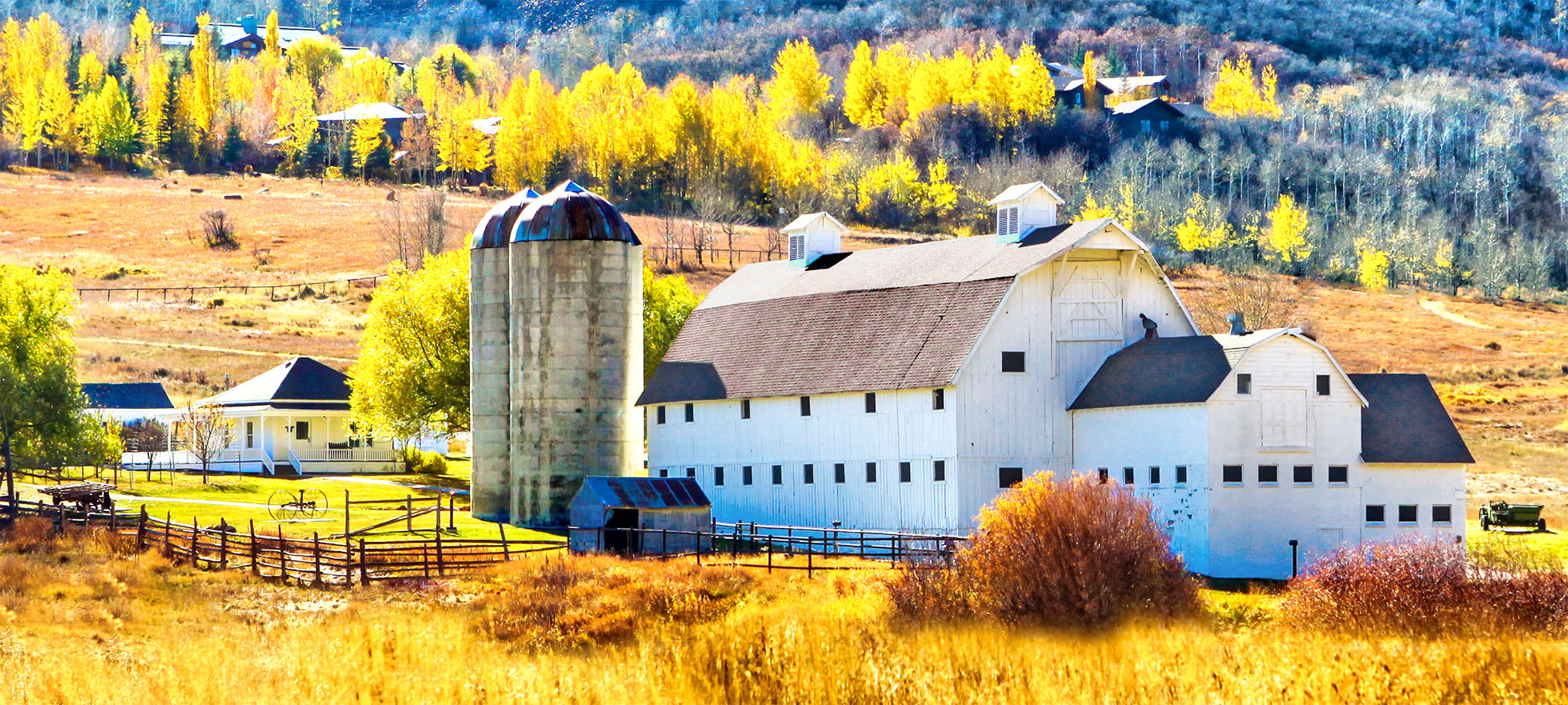 Park City Farm Jigsaw Puzzle