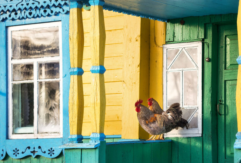Porch Poultry Jigsaw Puzzle