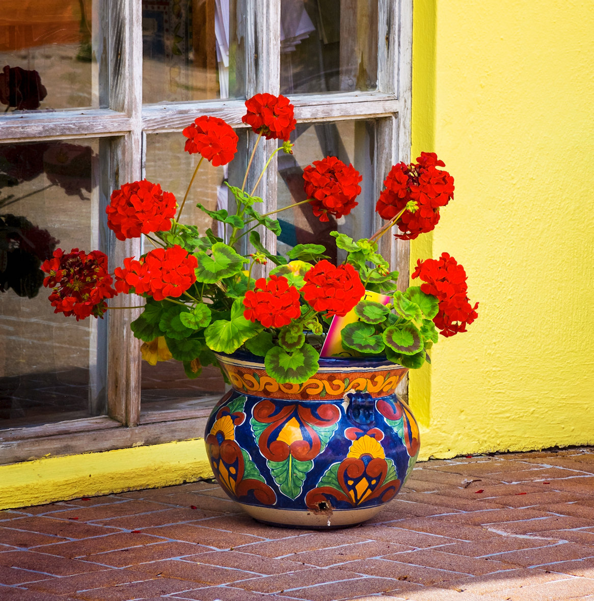 Potted Geraniums Jigsaw Puzzle