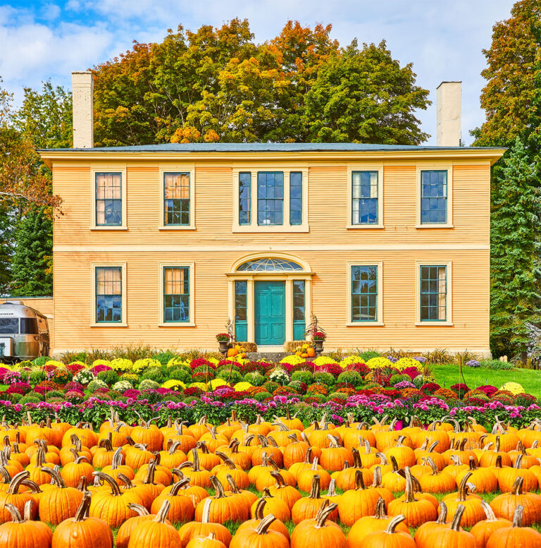 Pumpkin Harvest Jigsaw Puzzle