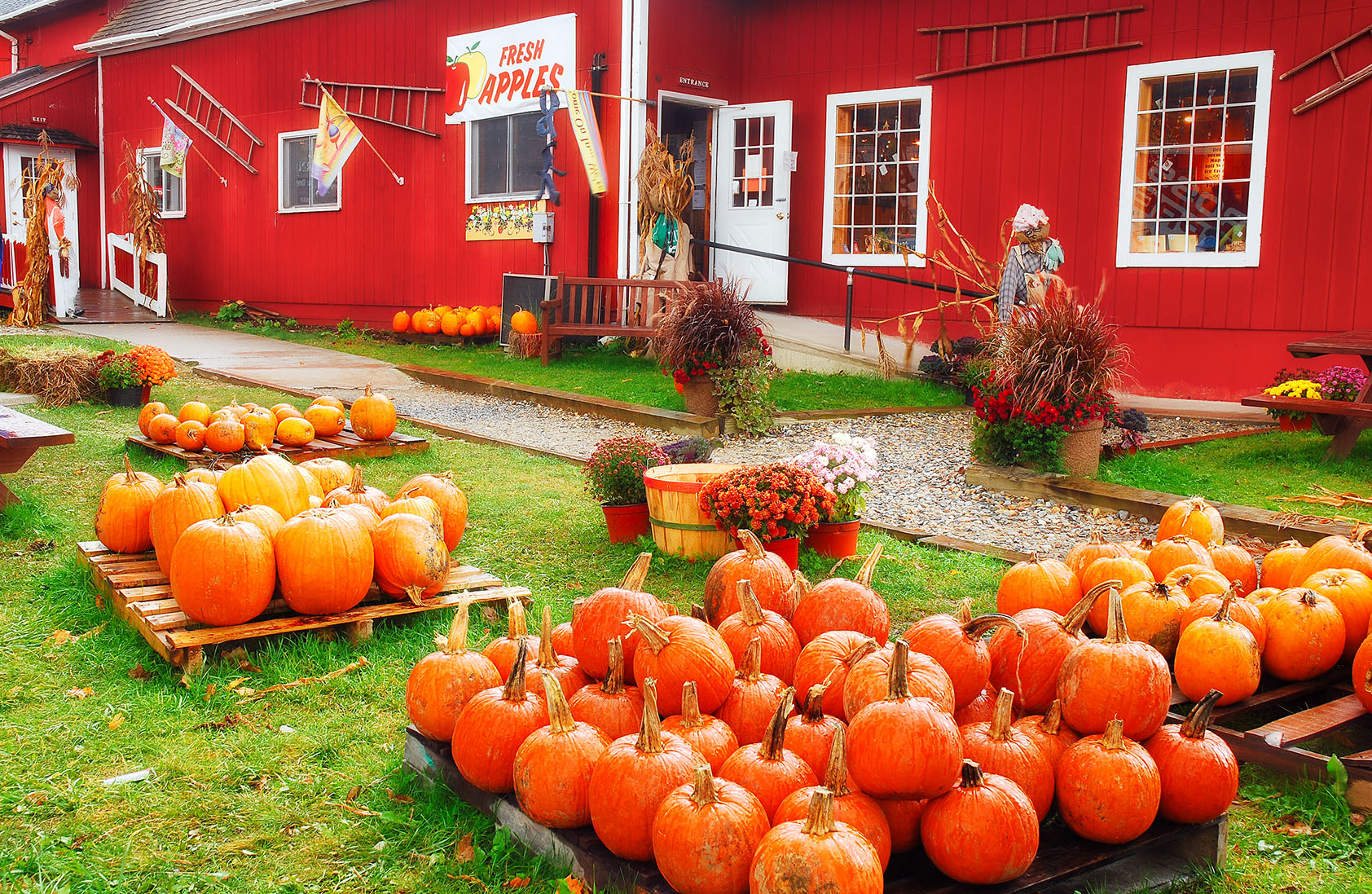 Pumpkin Pallets Jigsaw Puzzle