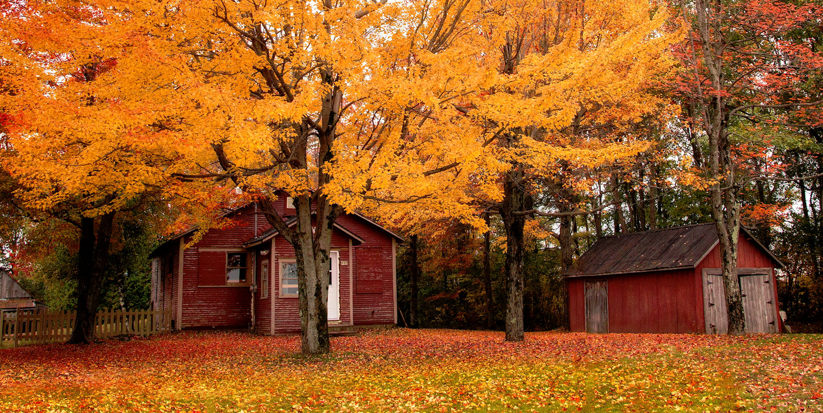 Remembering Autumn Jigsaw Puzzle