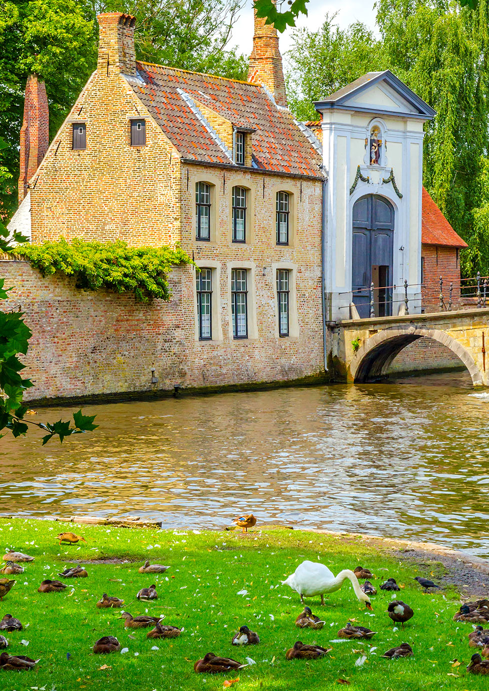 Resting Ducks Jigsaw Puzzle Resting Ducks Jigsaw Puzzle