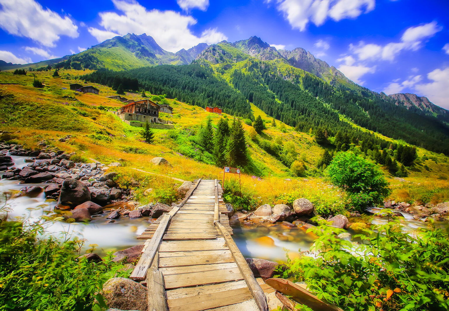 Rize Landscape Jigsaw Puzzle