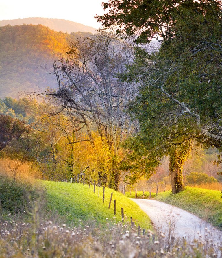 Rural Road Jigsaw Puzzle