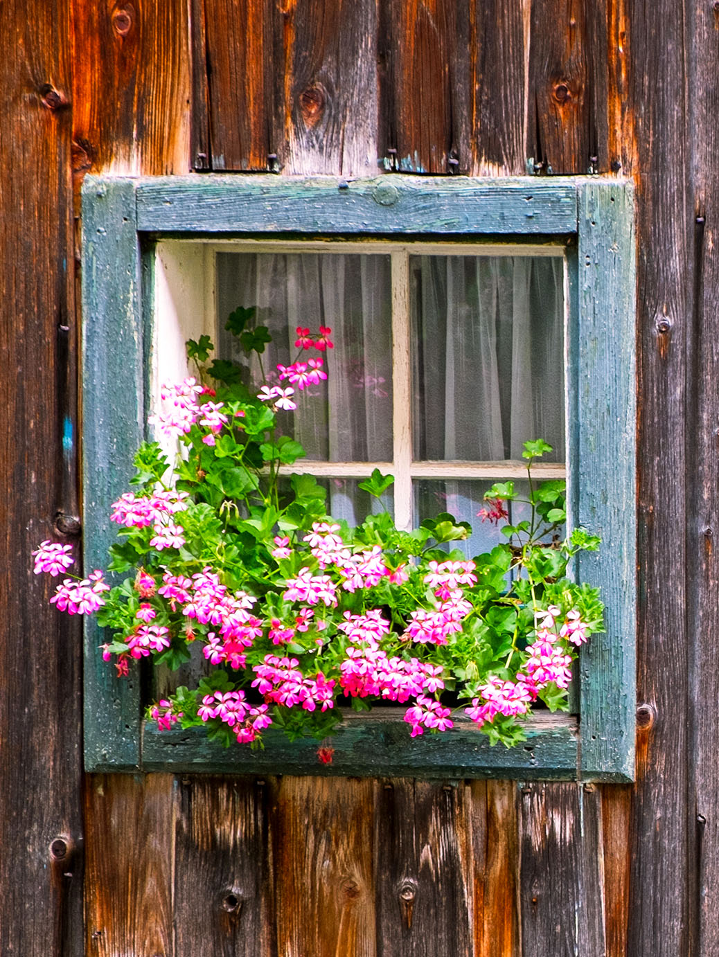 Rustic Window Jigsaw Puzzle