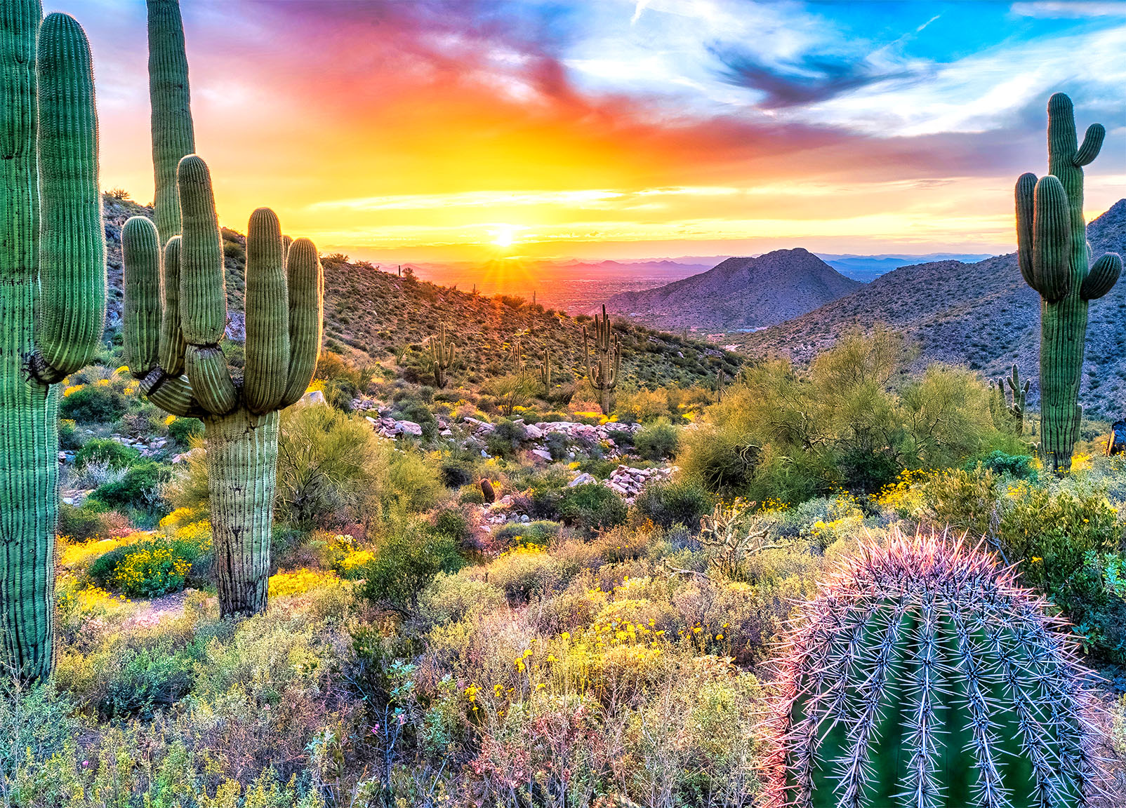 Sonoran Desert Jigsaw Puzzle