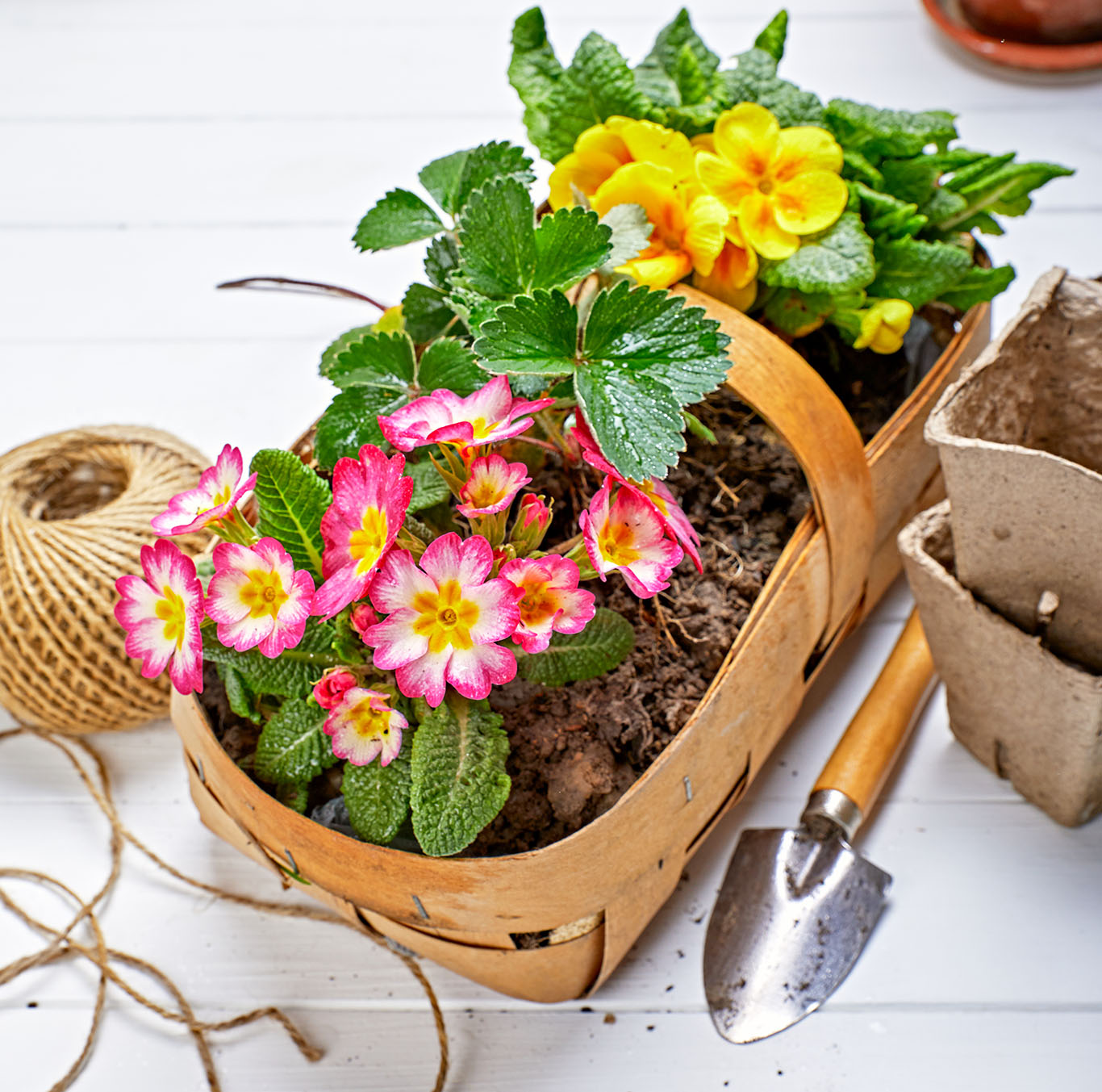 Spring Basket Jigsaw Puzzle