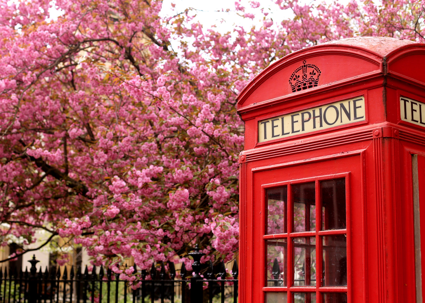 Spring Is Calling Jigsaw Puzzle
