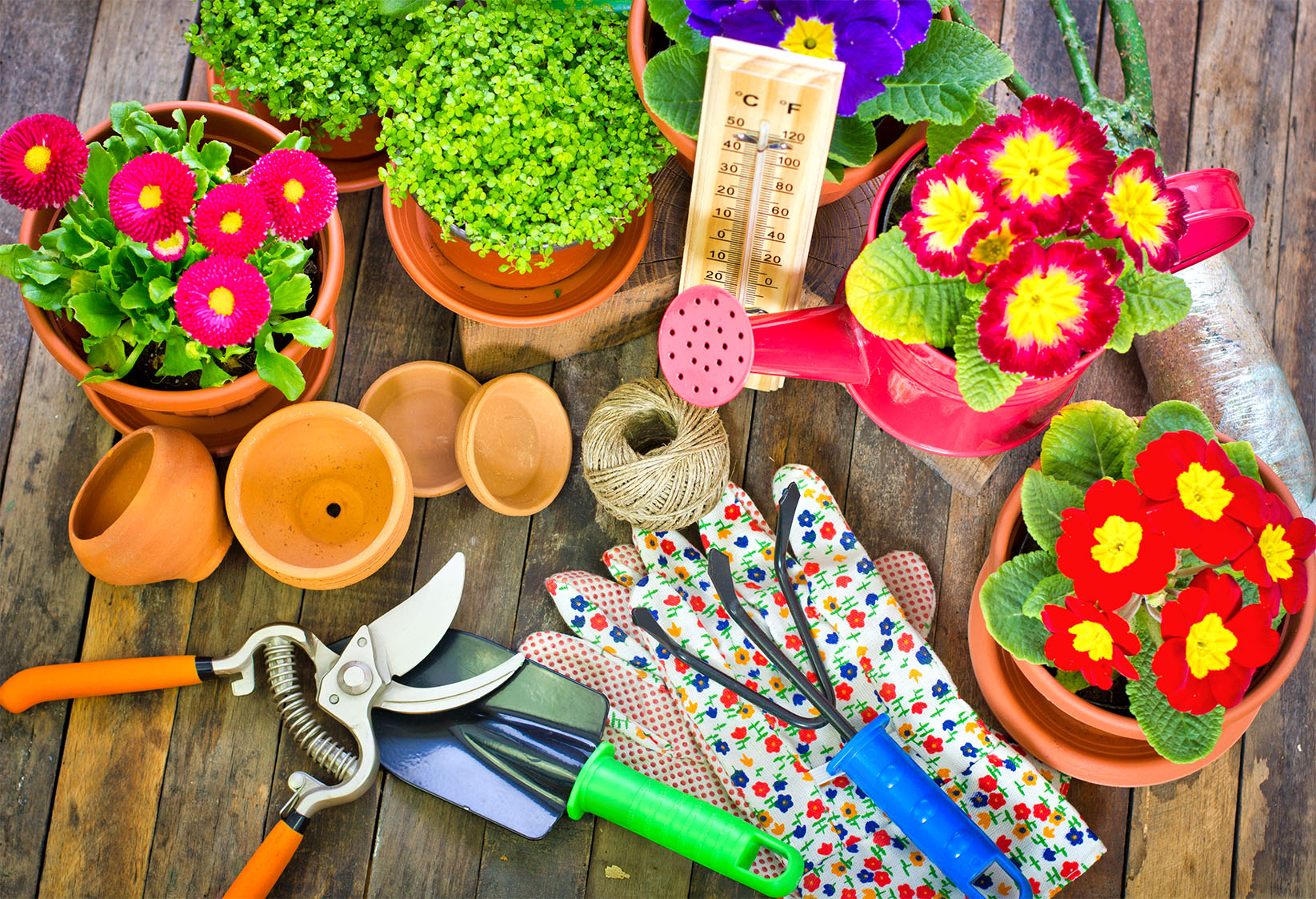 Spring Planting Time Jigsaw Puzzle