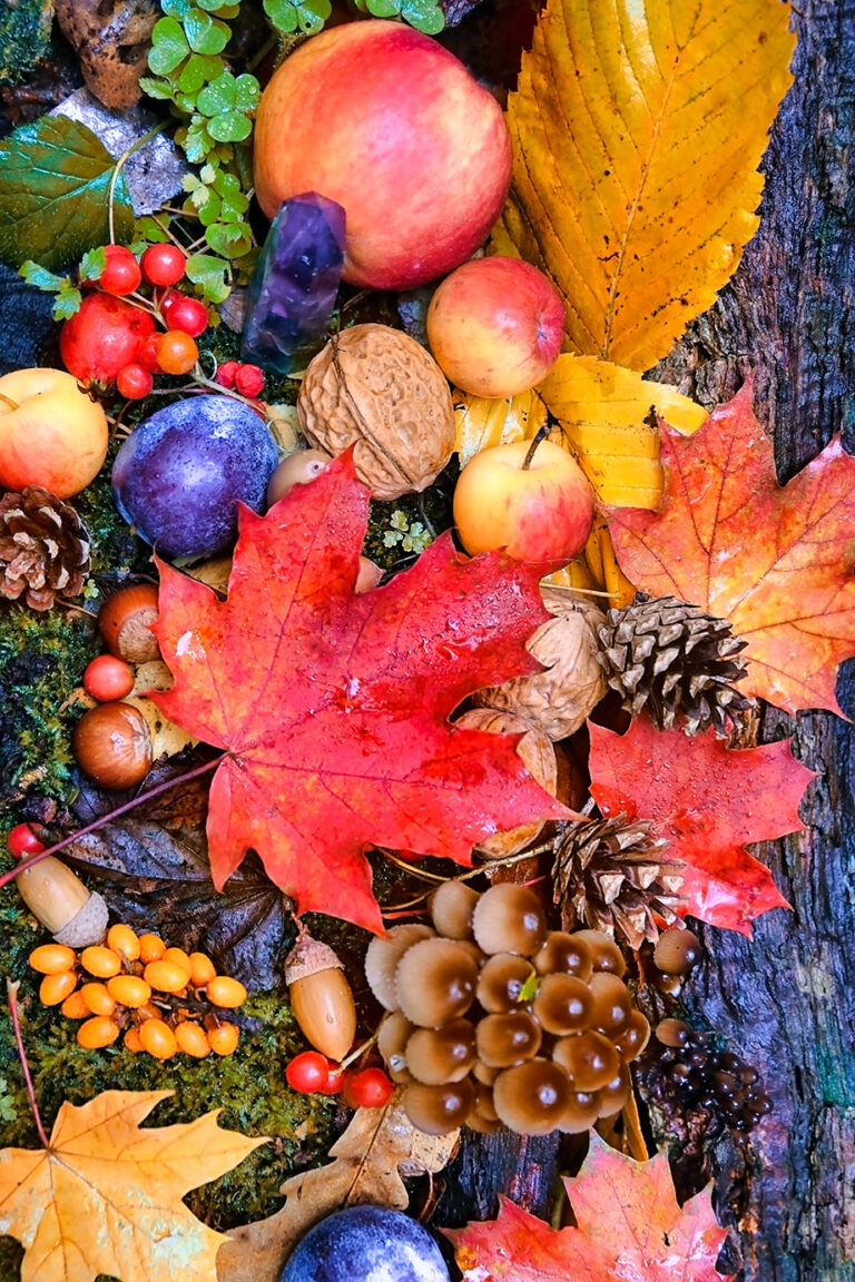 Things of Autumn Jigsaw Puzzle