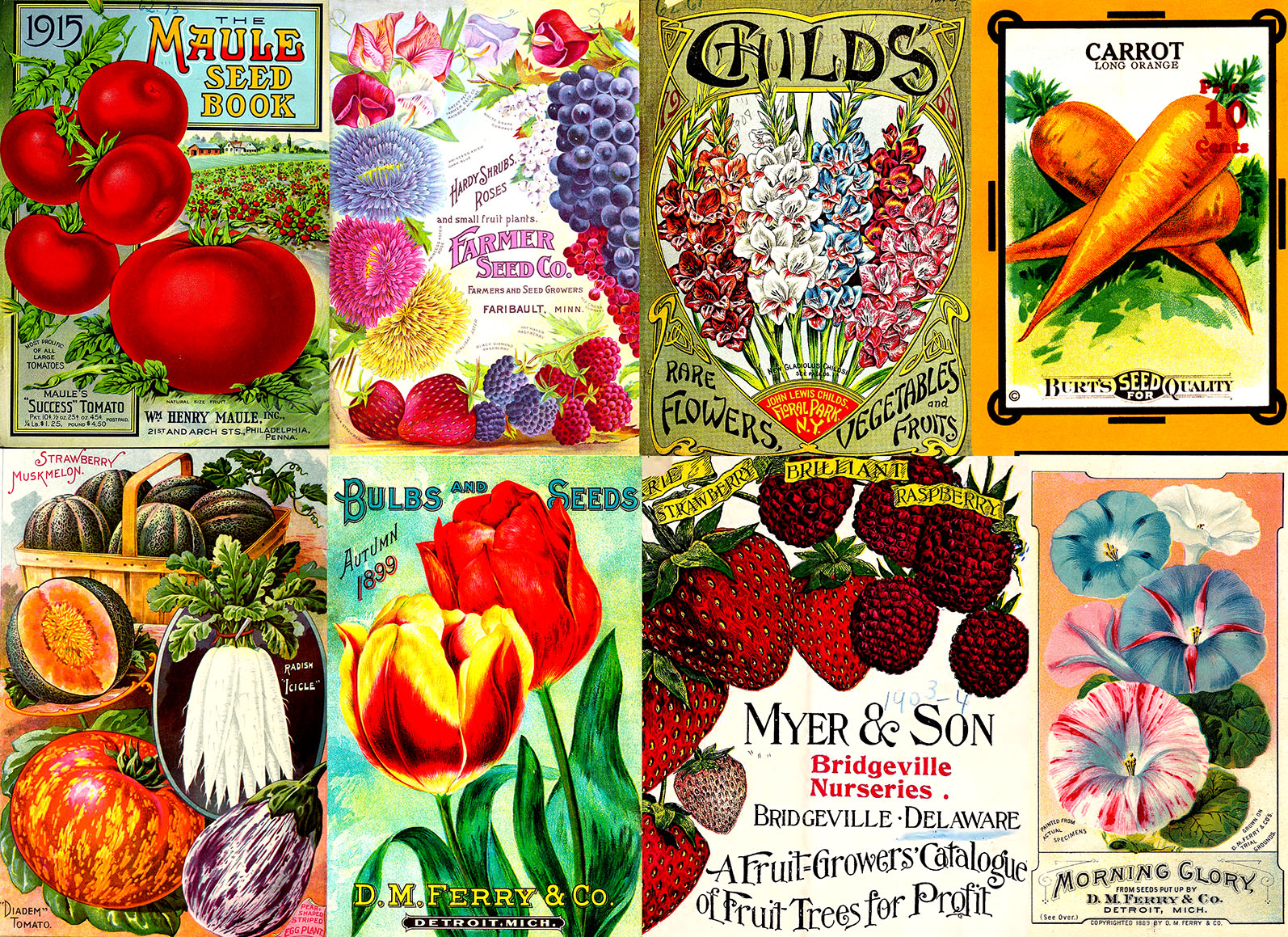 Vintage Seed Collage Jigsaw Puzzle