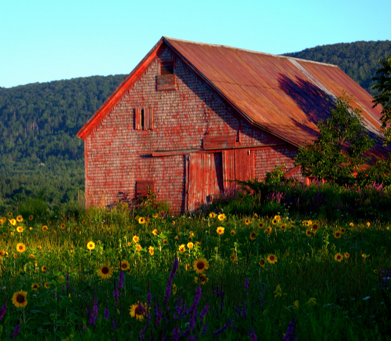Weathered Barn Jigsaw Puzzle