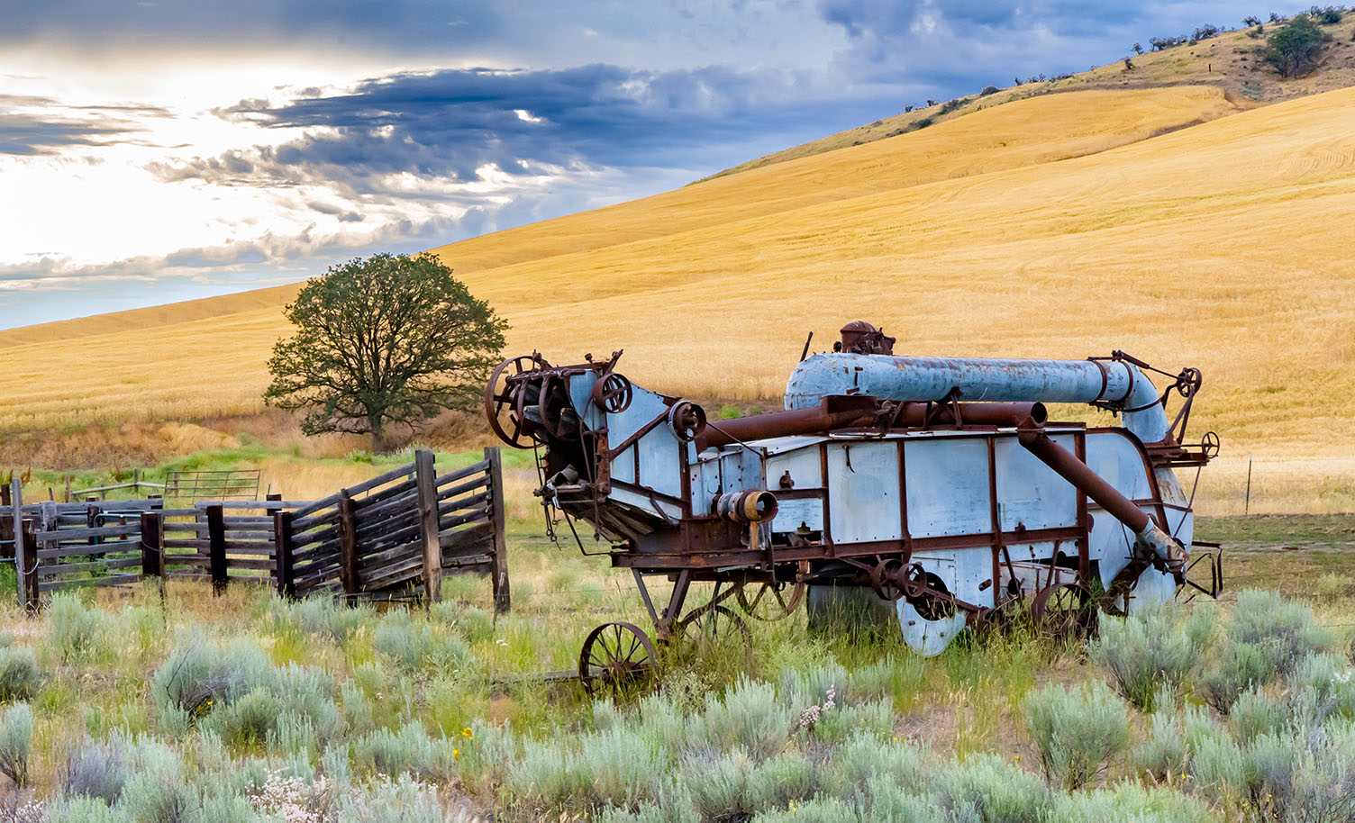 Wheat Combine Jigsaw Puzzle
